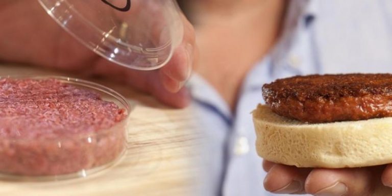 SuperMeat Startup Disrupts Meat Industry