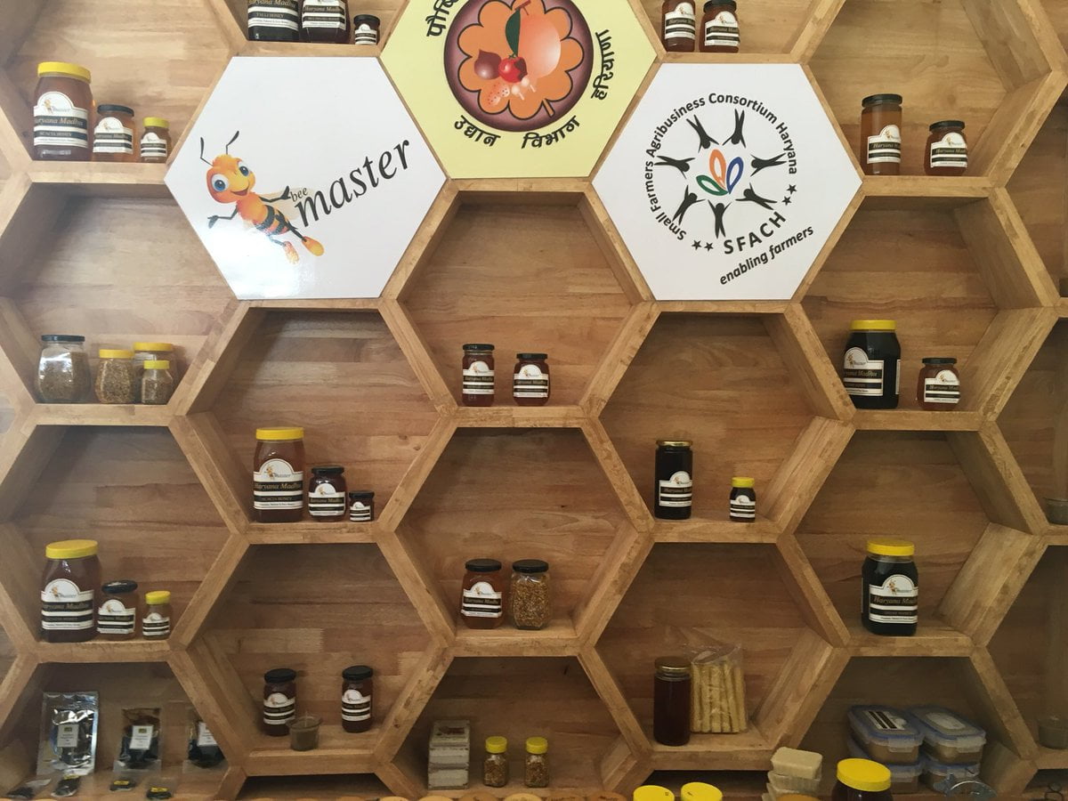 Israel, India Launch Beekeeping Center In Ramnagar