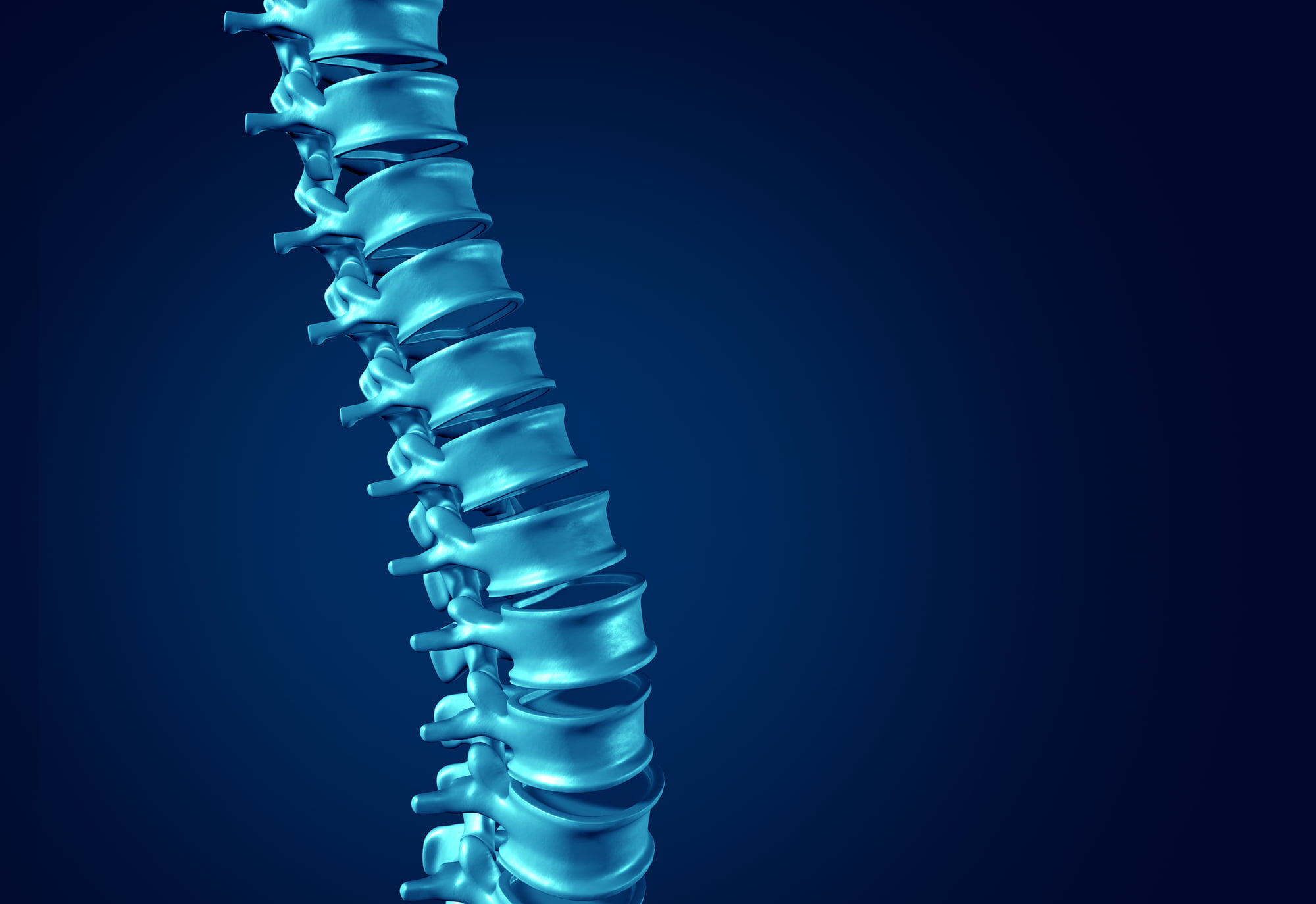 Israeli Scientists Engineer Human Spinal Cord Implants To Treat Paralysis