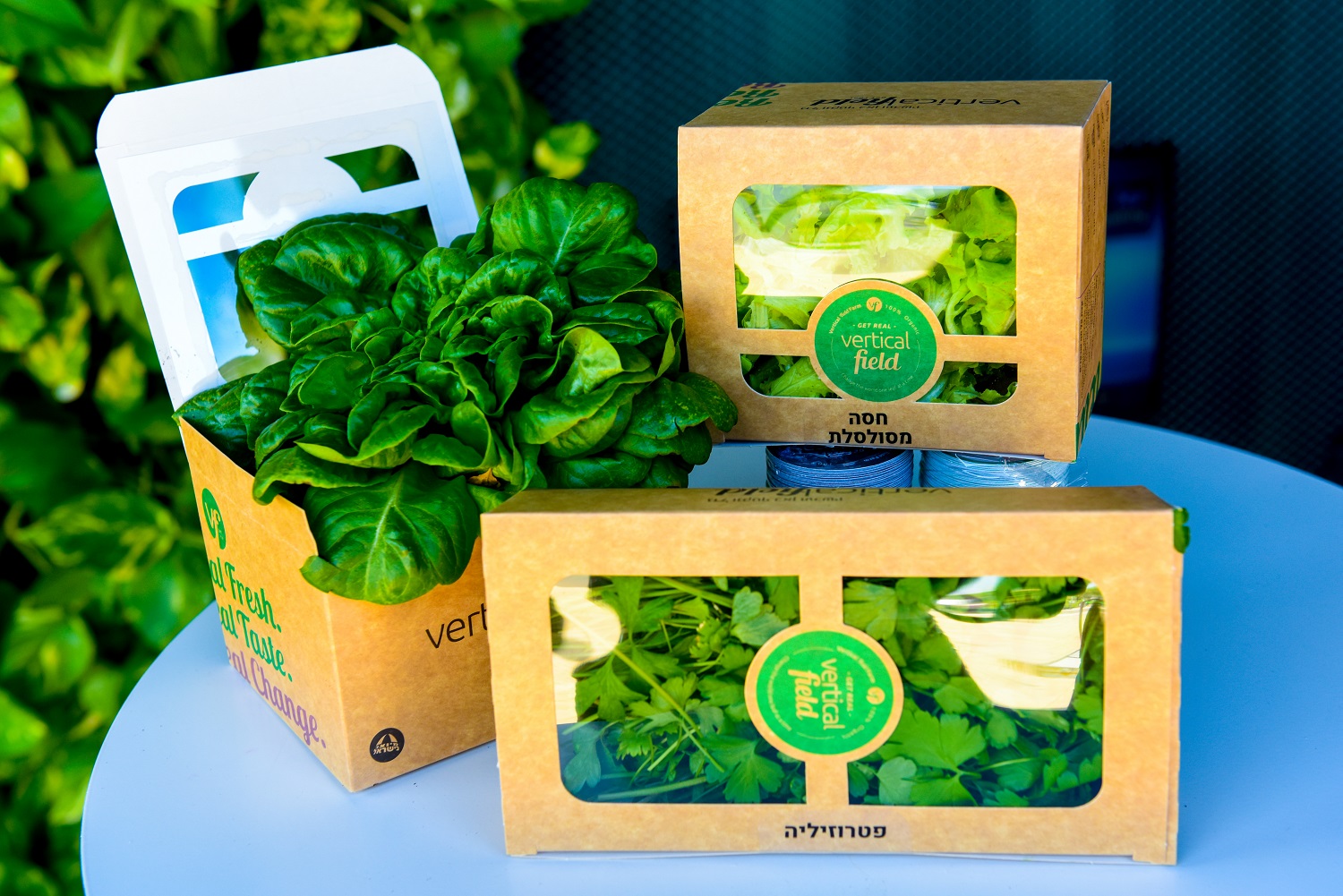 Israeli Grocery Chain To Offer Fresh Produce Grown On-Site