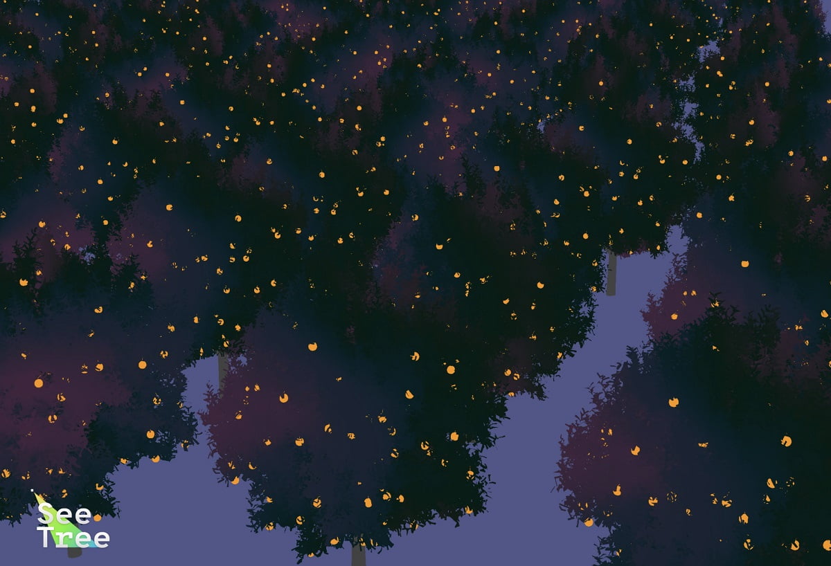 Tree Intel: SeeTree Taps Data Tech, Sensing Imagery To Disrupt Farming