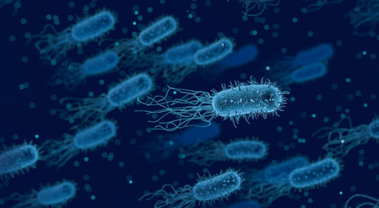 Israeli ‘Antibacterial Weapon’ Arms Good Germs To Kill Bad Germs