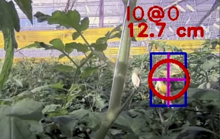 Polly The AI Robot Gets Busy Replacing Bumblebees