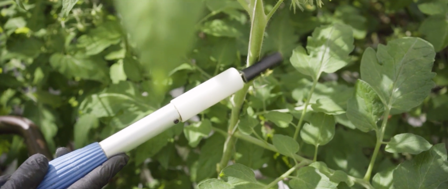 Polly The AI Robot Gets Busy Replacing Bumblebees