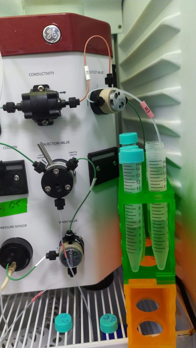 Israeli Scientists ‘Teach’ Bacteria To Preserve Food Safely