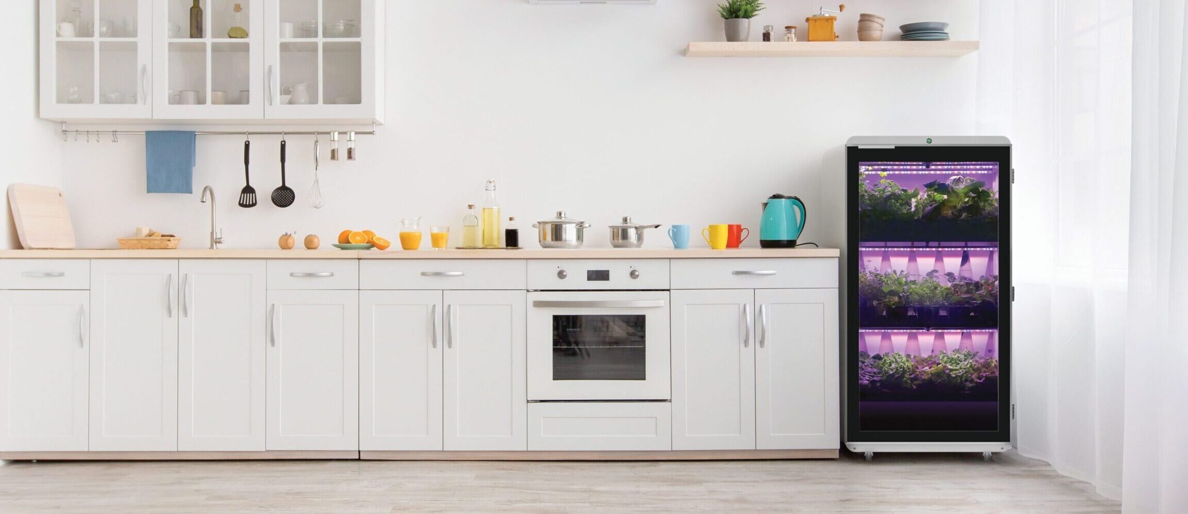 Grow Your Own Vegetables, Effortlessly, In A Wine Fridge