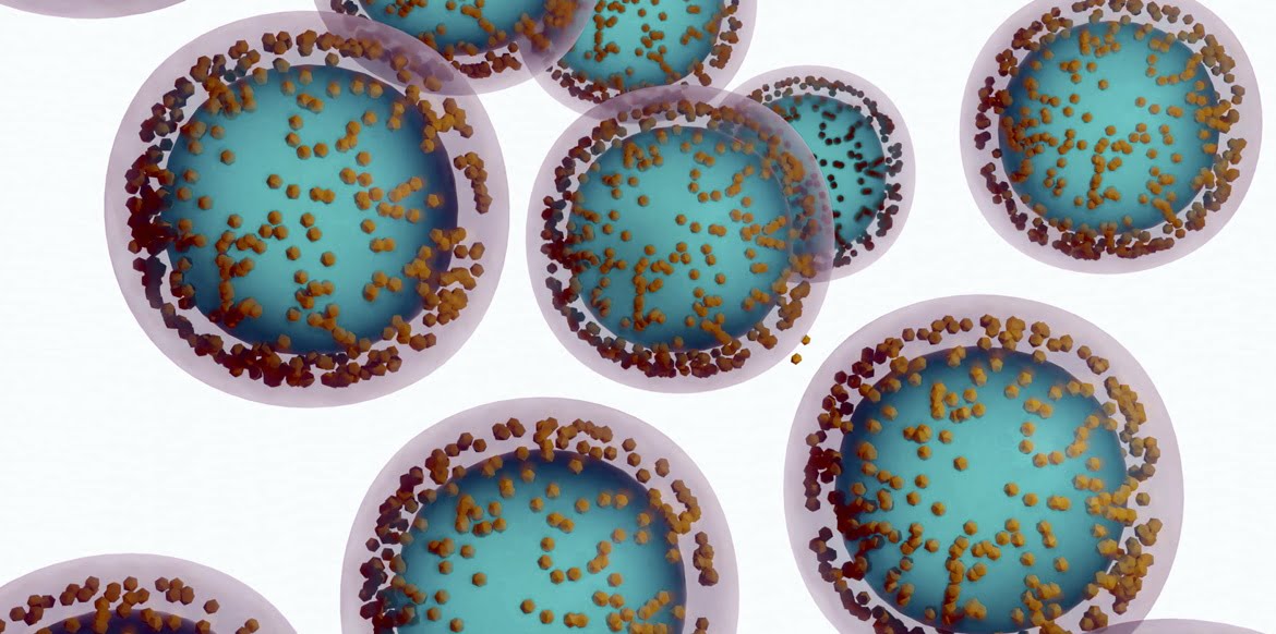 Nanobubble Injections Can Explode Tumors, Say Researchers