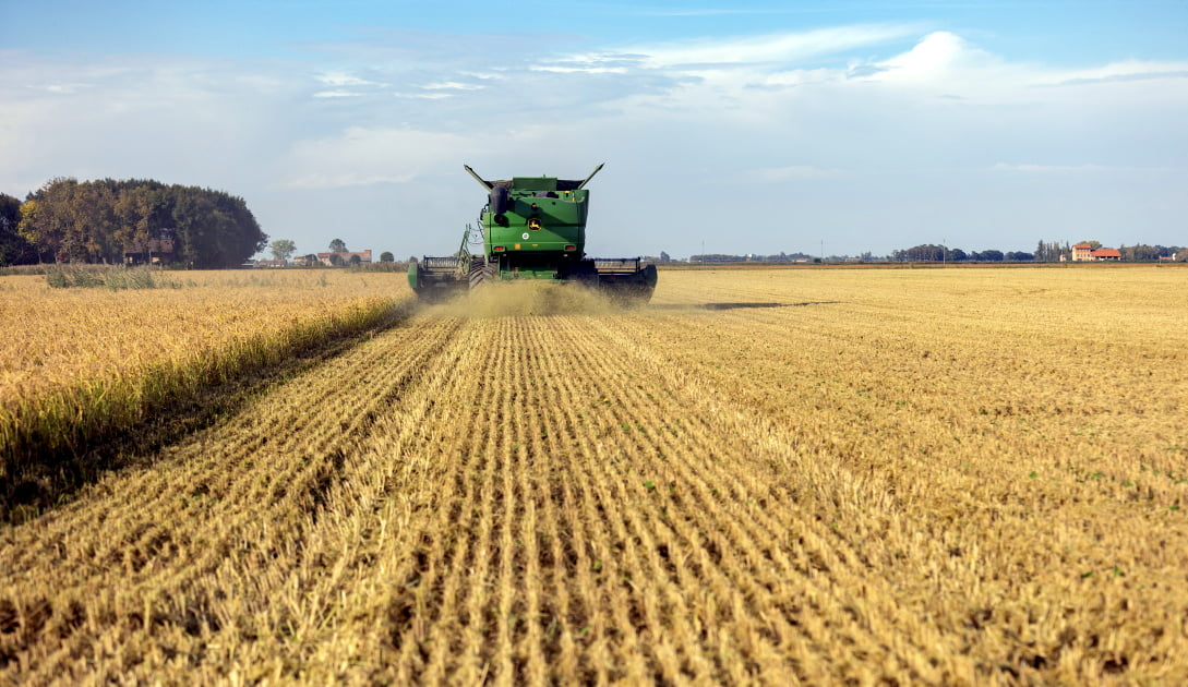 A Better Way To Grow Rice, After 5,000 Years Of Paddy Fields