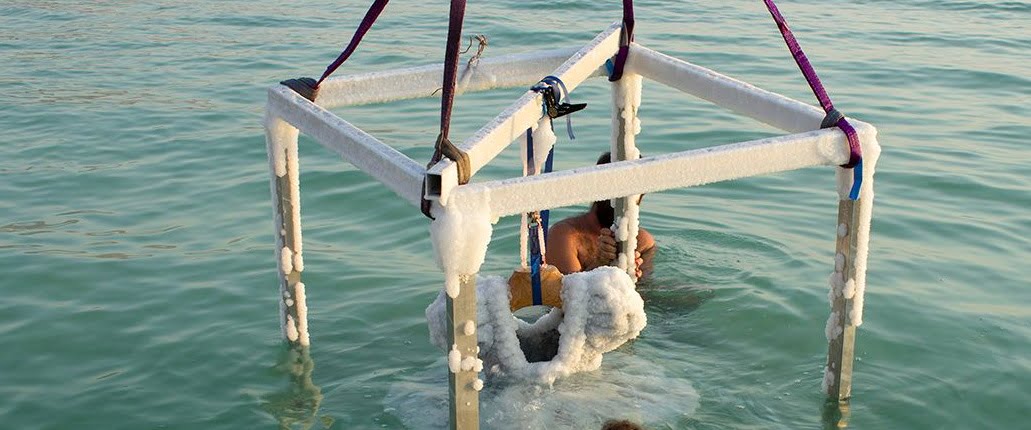 Salt Of The Earth: Turning Everyday Objects Into Art