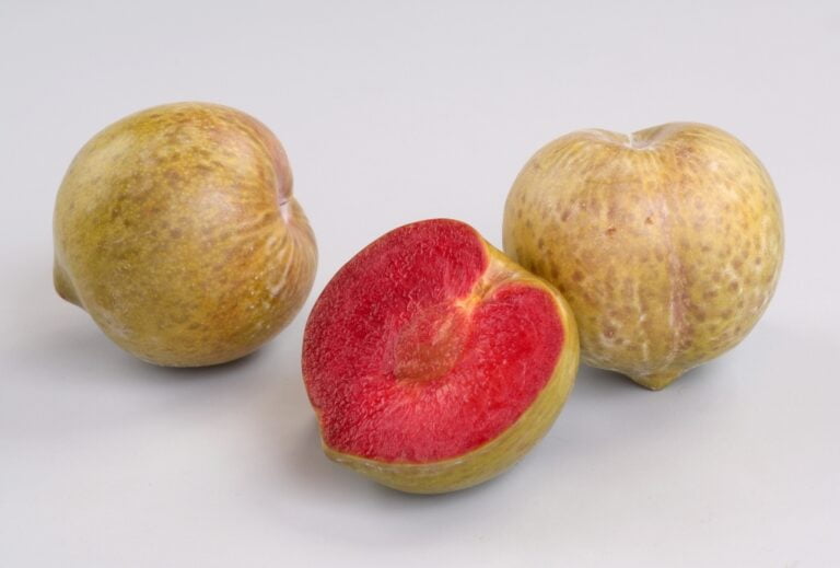 The Watermelon Plum That's Beating Climate Change