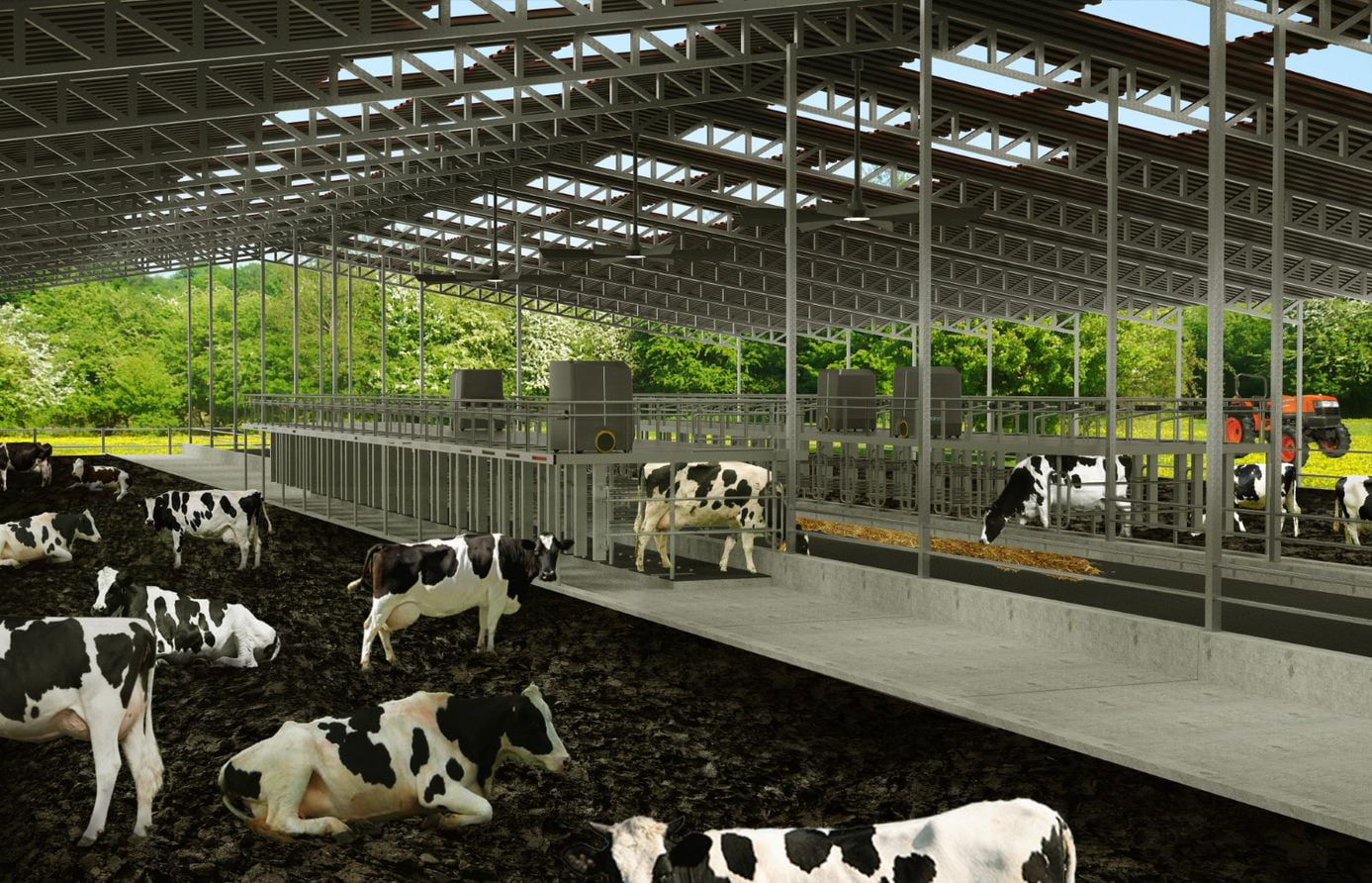 Robot Milking System Aims For Happier Cows And Higher Yield