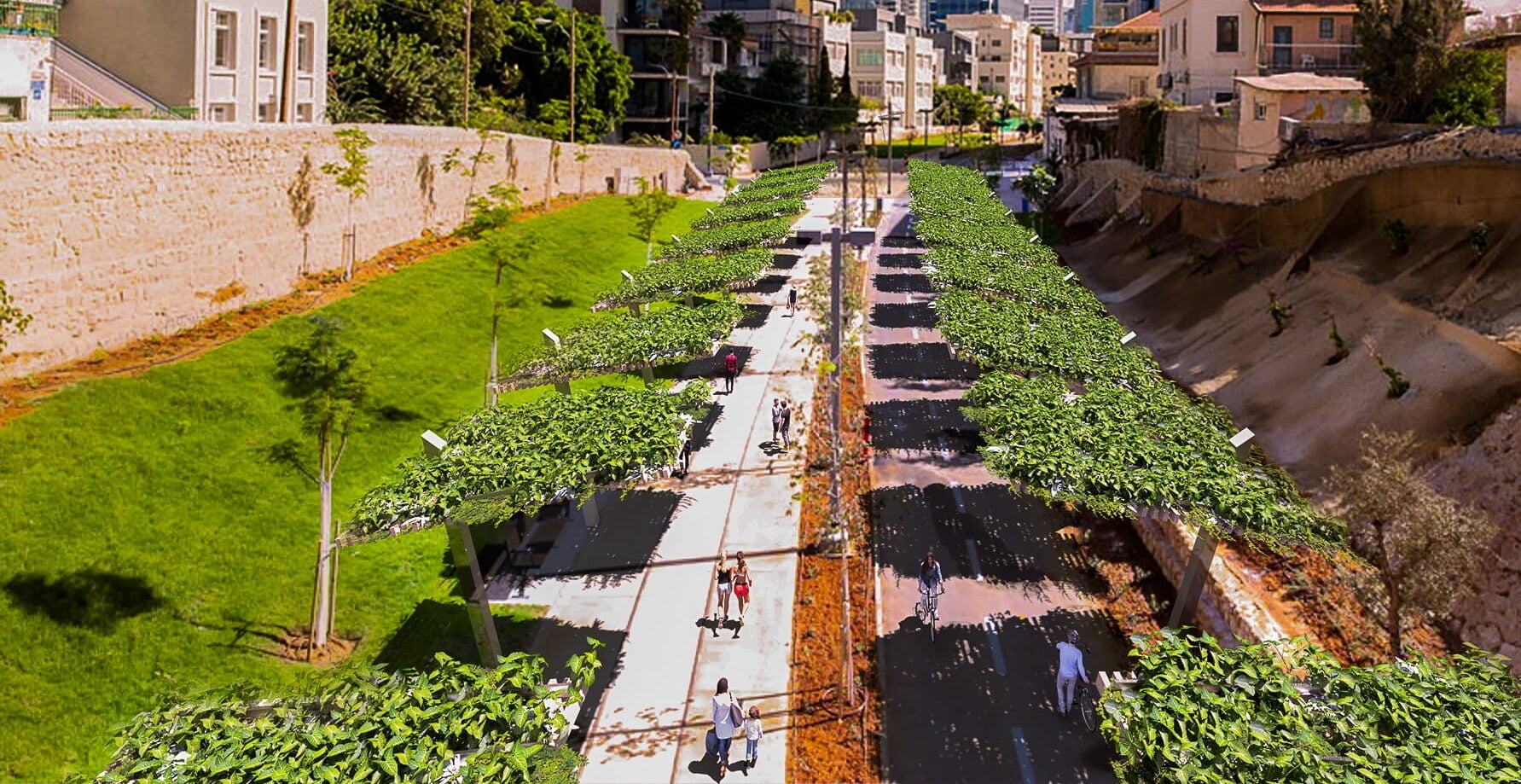 Hot In The City? Startup Using Plants To Cool Urban Areas