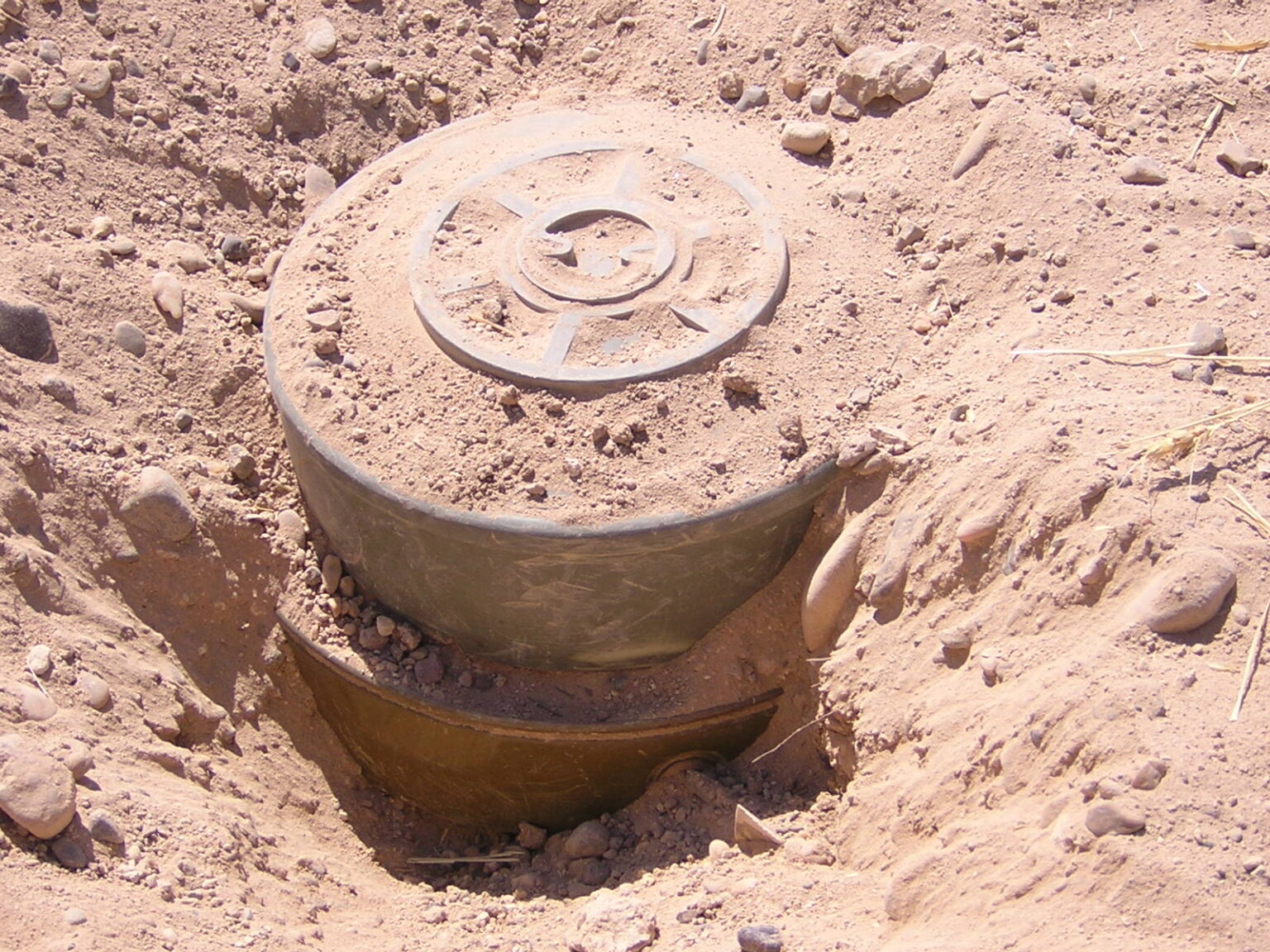 Using E. coli Bacteria To Detect Landmines From Afar