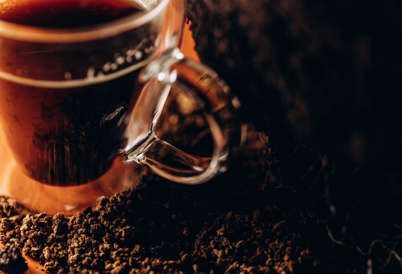 Startup Sees Coffee From Cells As Future of Sustainable Drinking