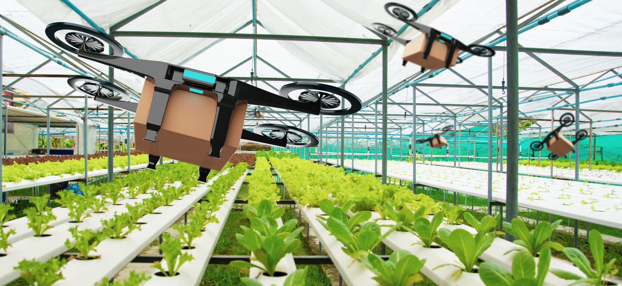 AI-Powered Device Transforms Drones Into Pollination Machines
