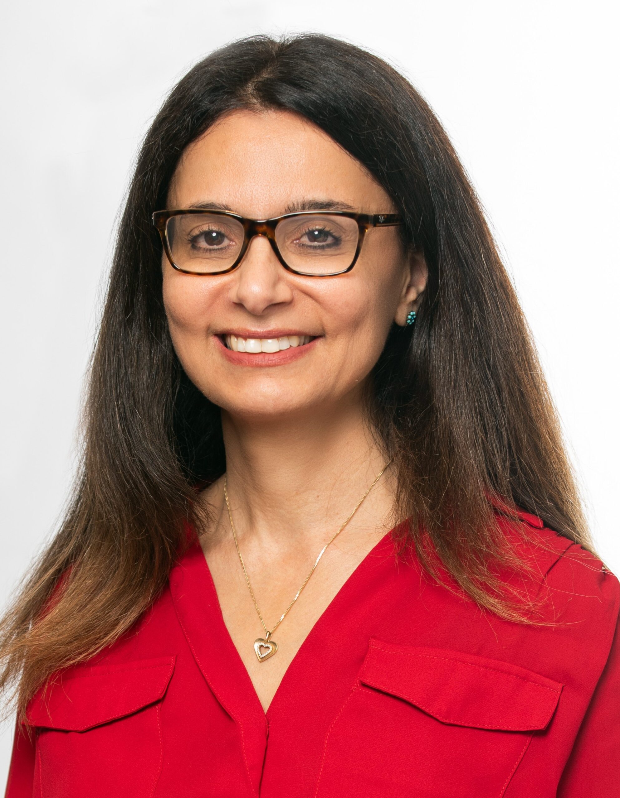 Innovative Israel-US Collaboration Helps Tech Companies Fly High